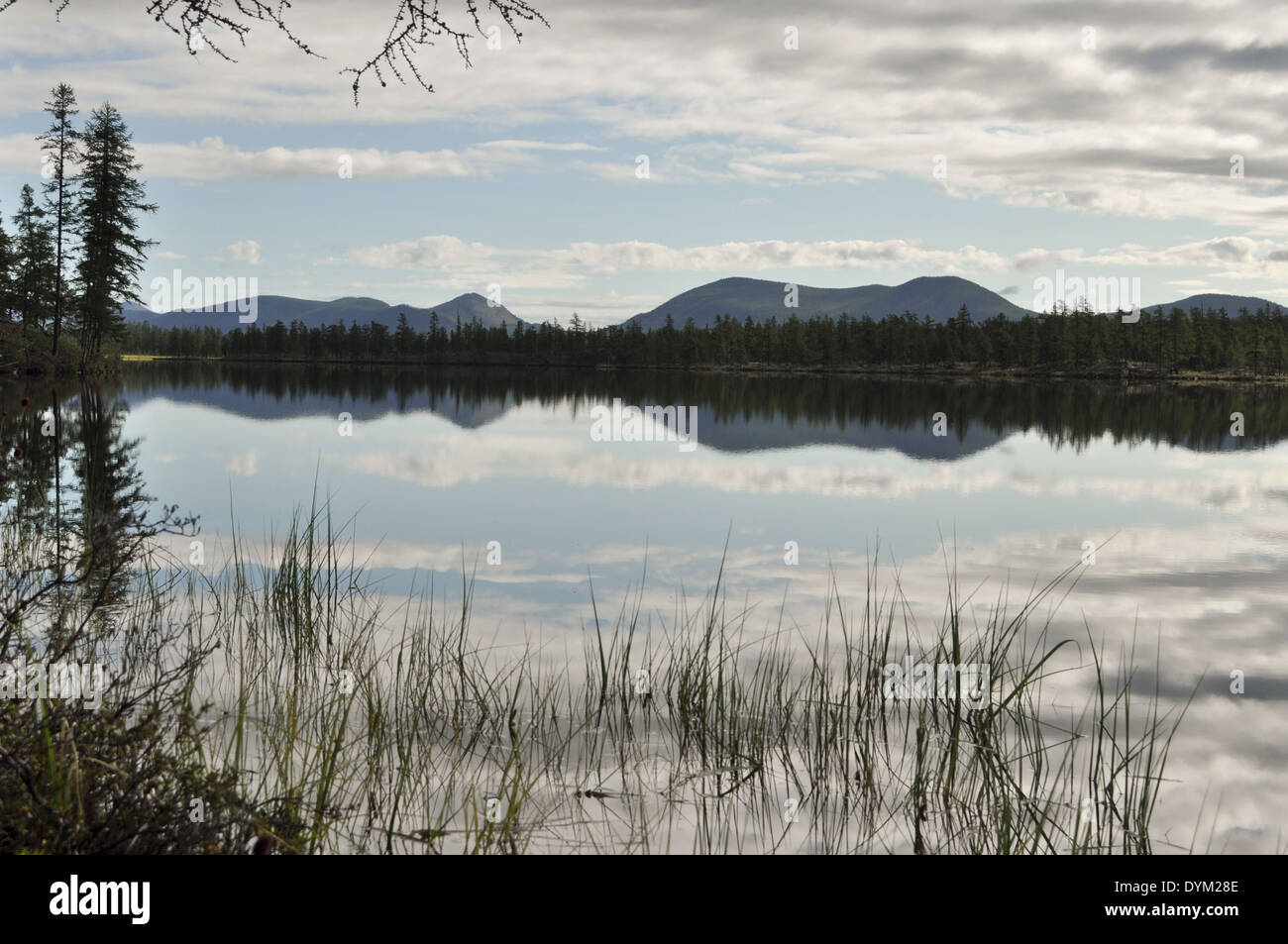 Water summer landscape surrounding the river Suntar in the Highlands of ...
