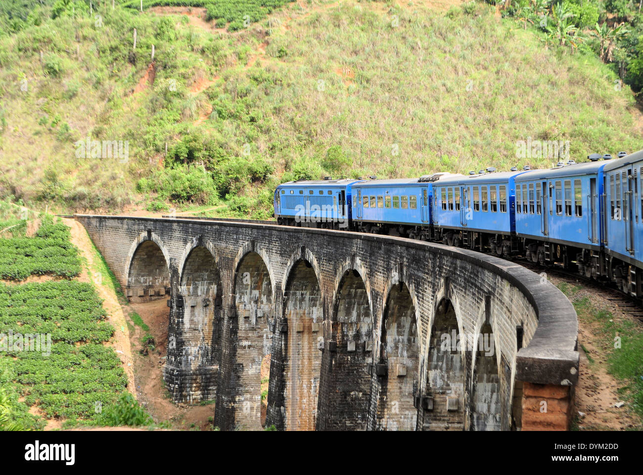 Train on bridge in hill country of Sri Lanka Stock Photo - Alamy