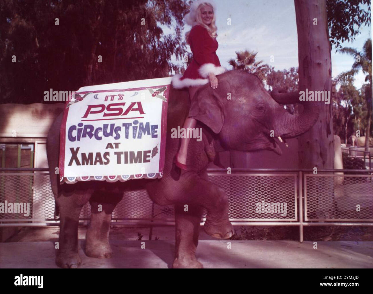 Debbie was a notable pilot for PSA Airlines, contributing to the ...