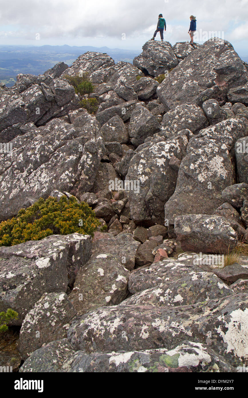 Mt roland tasmania hi-res stock photography and images - Alamy