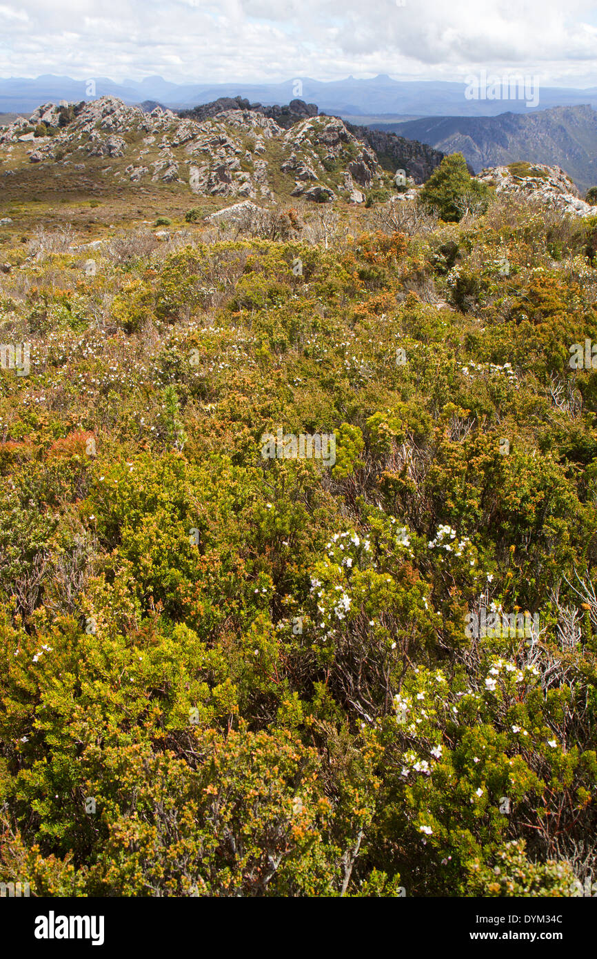 Summit plateau on Mt Roland Stock Photo - Alamy