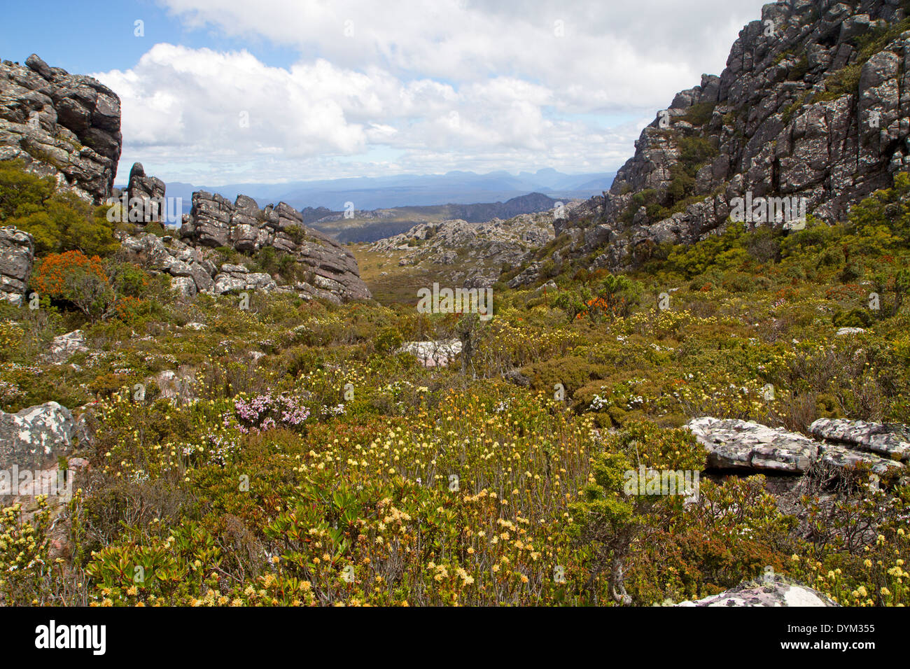 Summit plateau on Mt Roland Stock Photo - Alamy