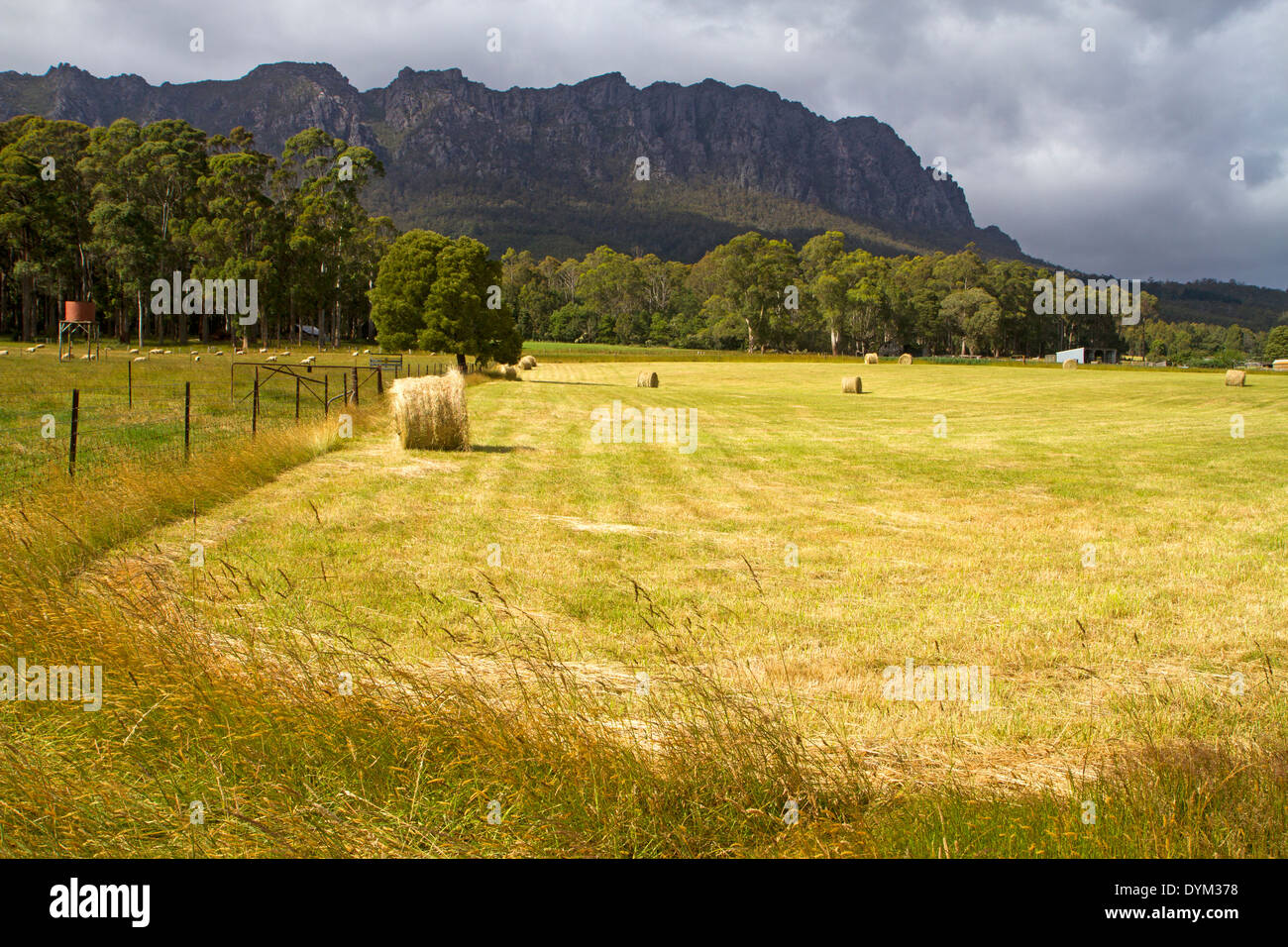 Mt roland tasmania hi-res stock photography and images - Alamy