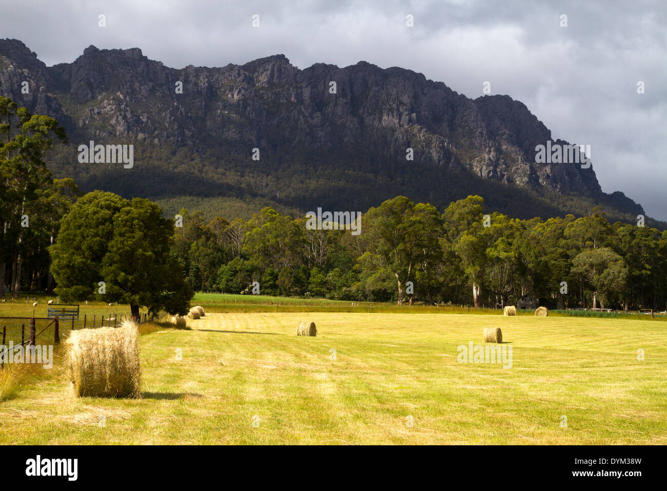 Mt roland tasmania hi-res stock photography and images - Alamy