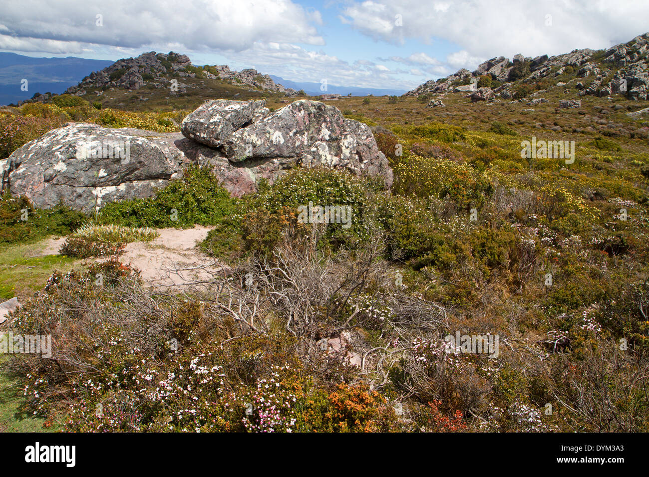 Summit plateau on Mt Roland Stock Photo - Alamy
