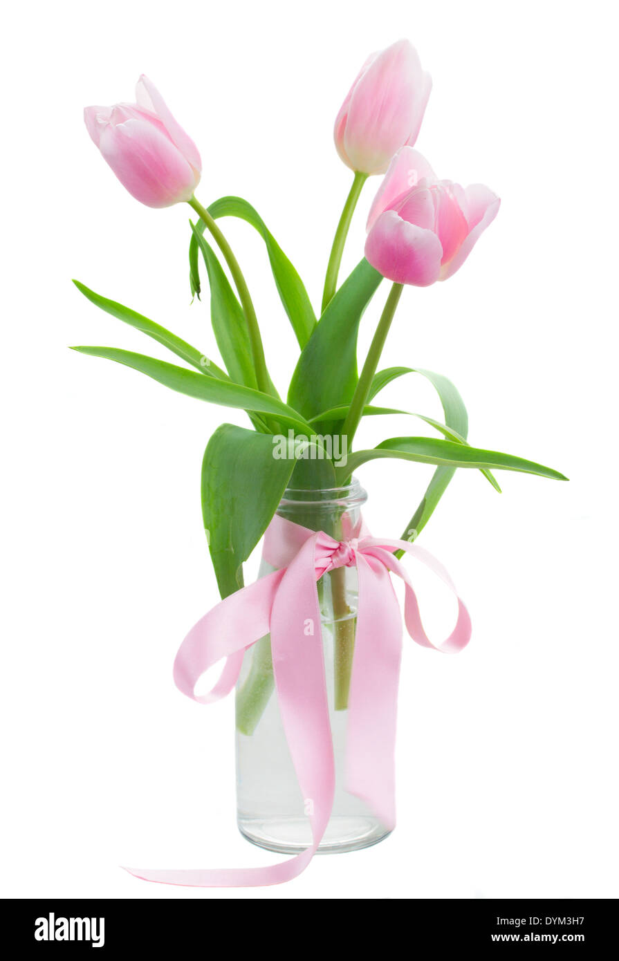 Colorful tulip blooms Cut Out Stock Images & Pictures - Alamy