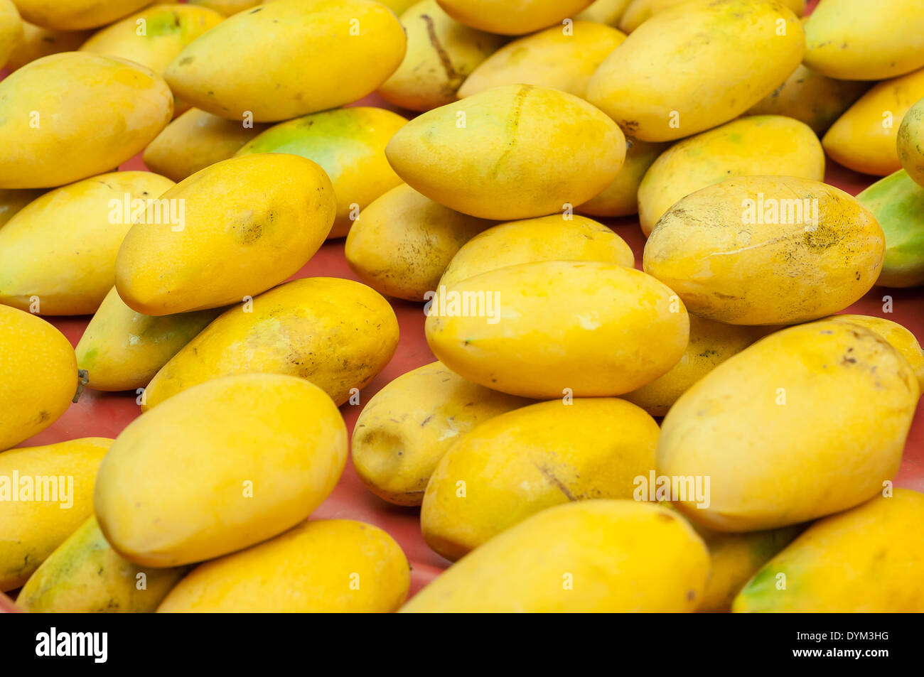 Collection display market closeup many stacked tropical whole pile asia ...