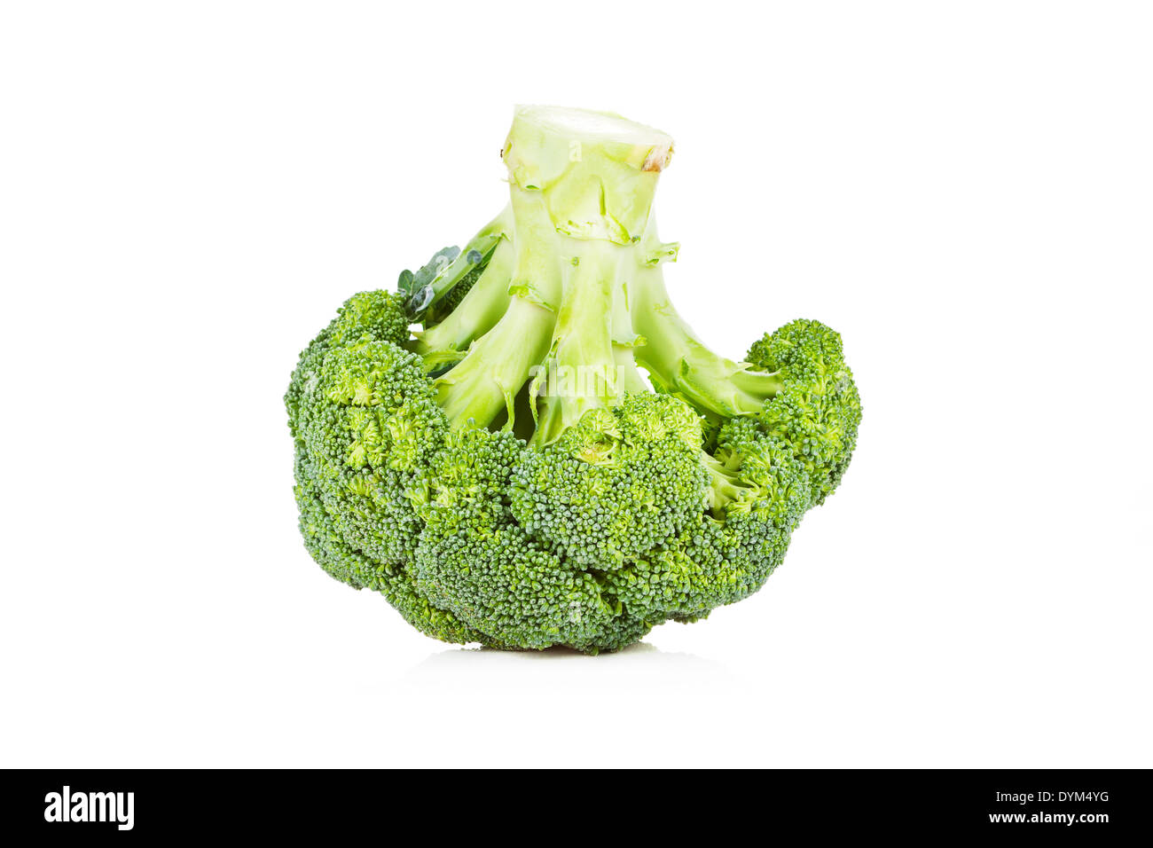 Single broccoli piece isolated on white background Stock Photo - Alamy