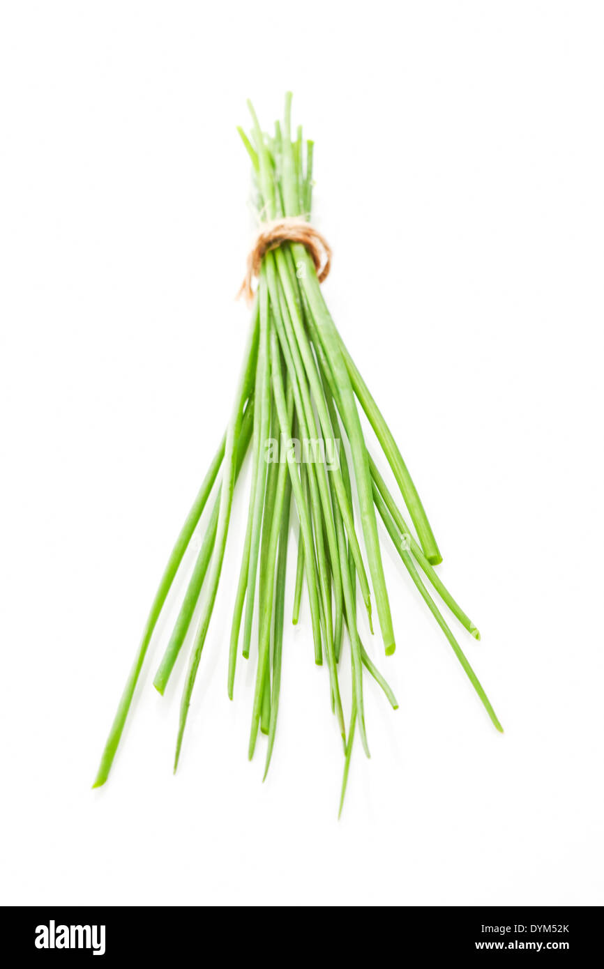 Fresh organic chive bunch bound with brown natural string isolated on ...