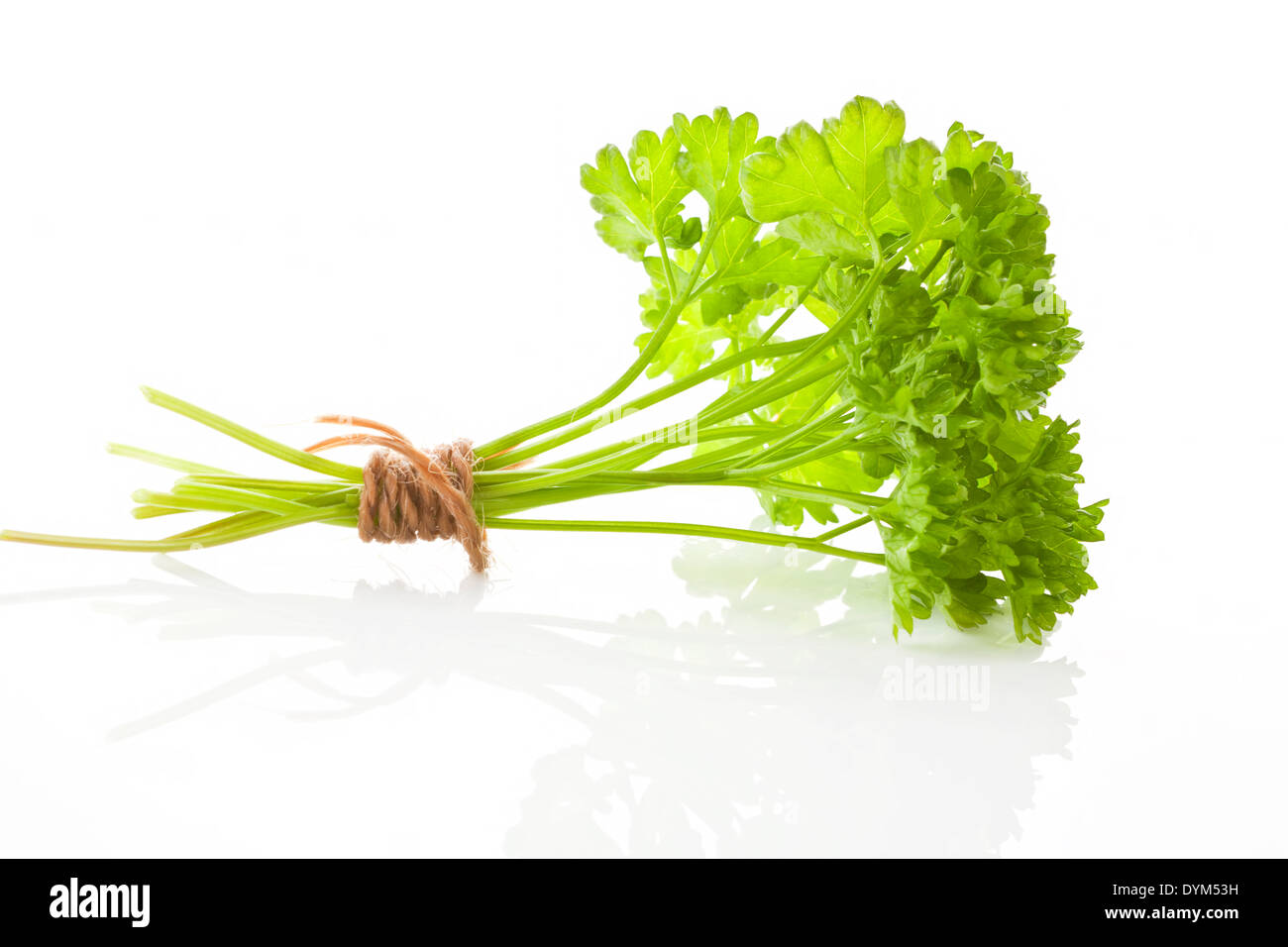 Curly parsley bundle bound with brown twine isolated on white ...