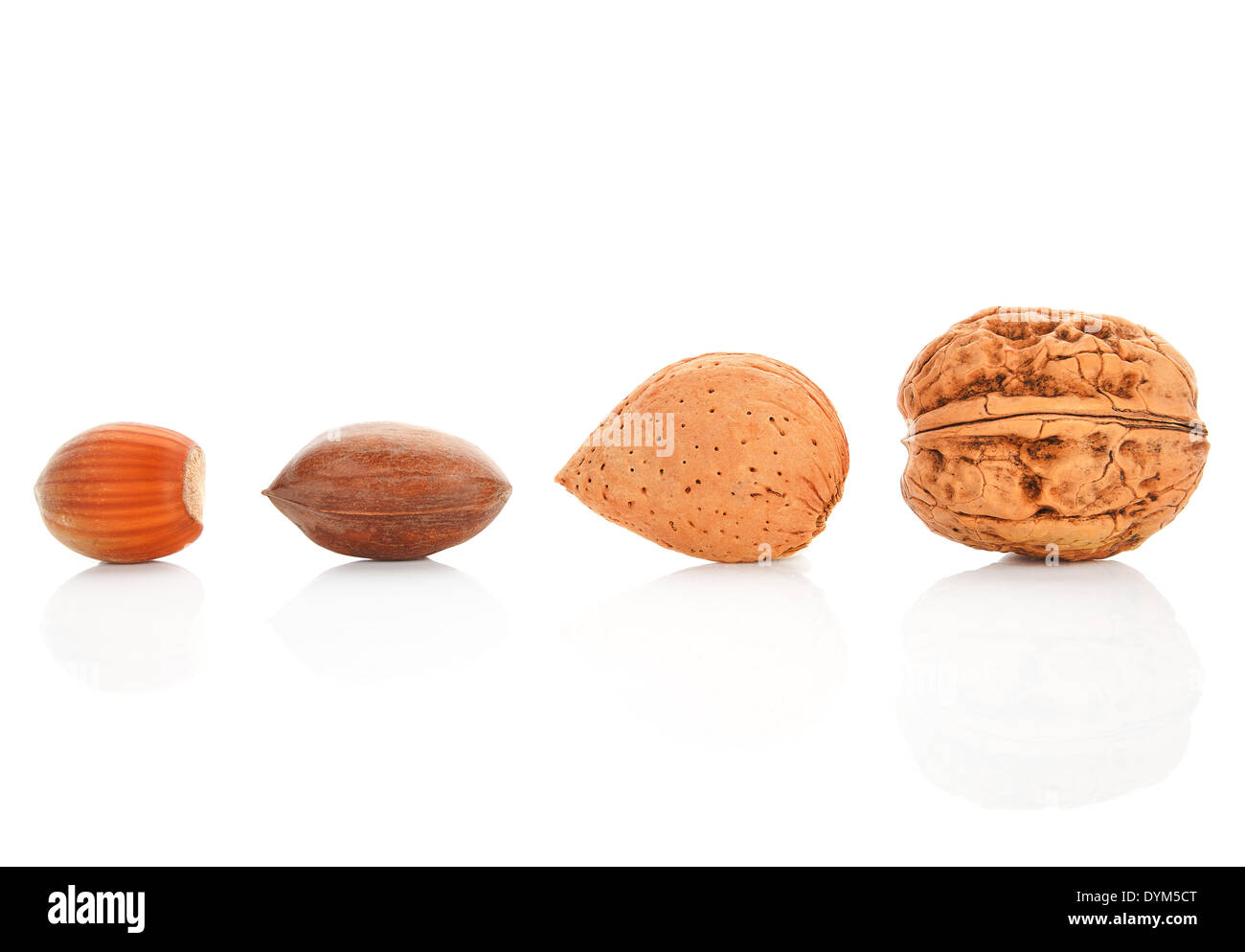 Walnut, hazelnut, almond and pecan nut isolated on white background ...