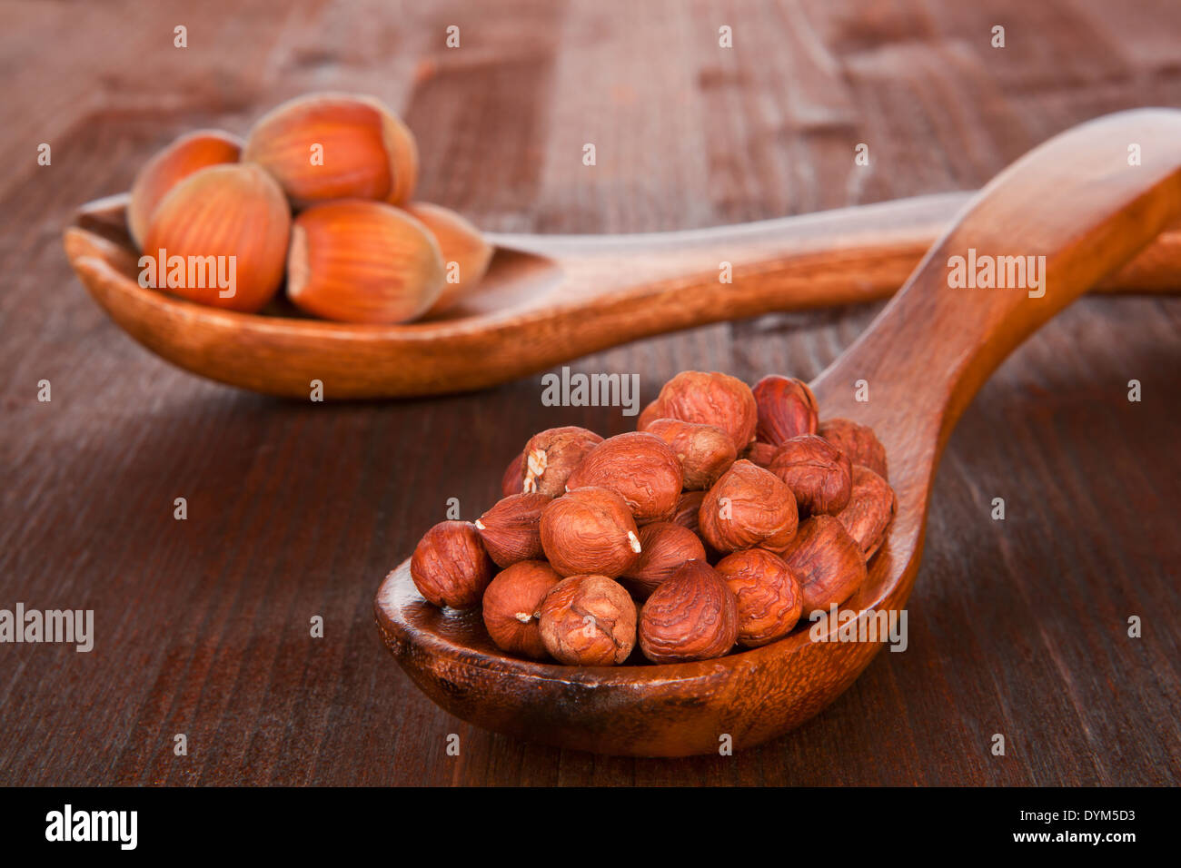 Whole hazelnut and hazelnut seed on wooden spoons on dark brown wooden ...