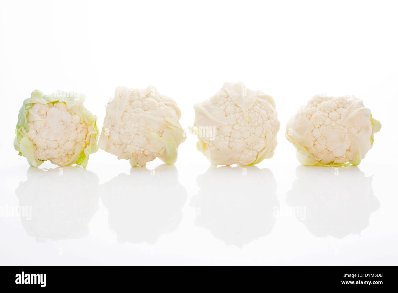 Four baby cauliflower isolated on white background with reflection ...