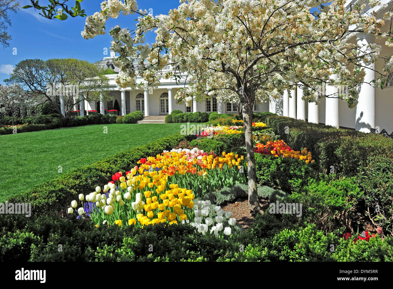 Washington, DC. 21st Apr, 2014. Stock photo of the Rose Garden of the ...