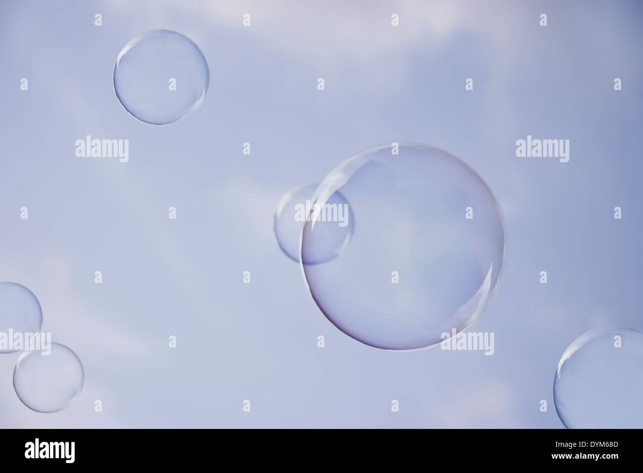 Flying soap bubbles in the air. Fresh air Stock Photo - Alamy