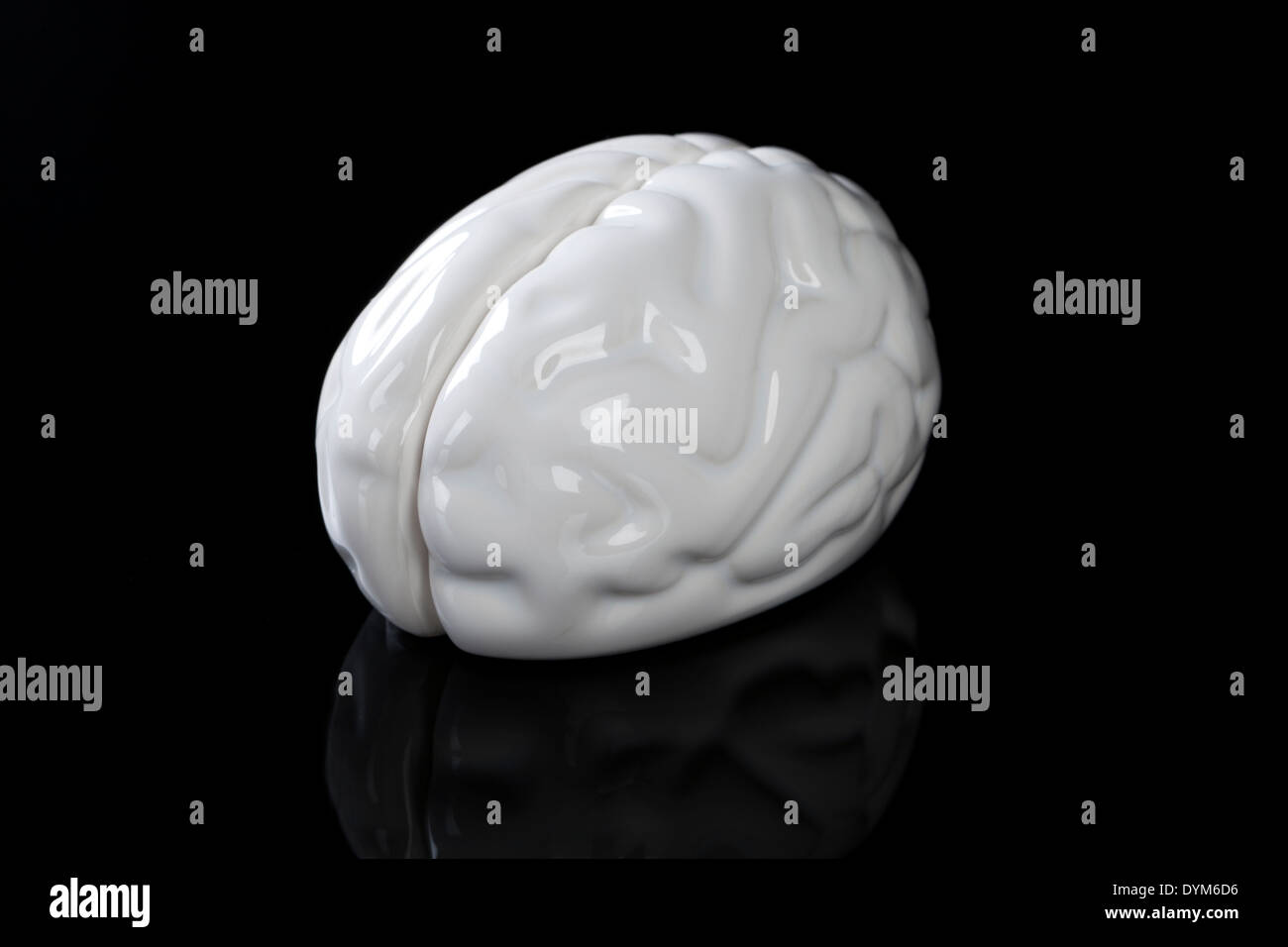 White ceramic brain isolated on black background Stock Photo - Alamy