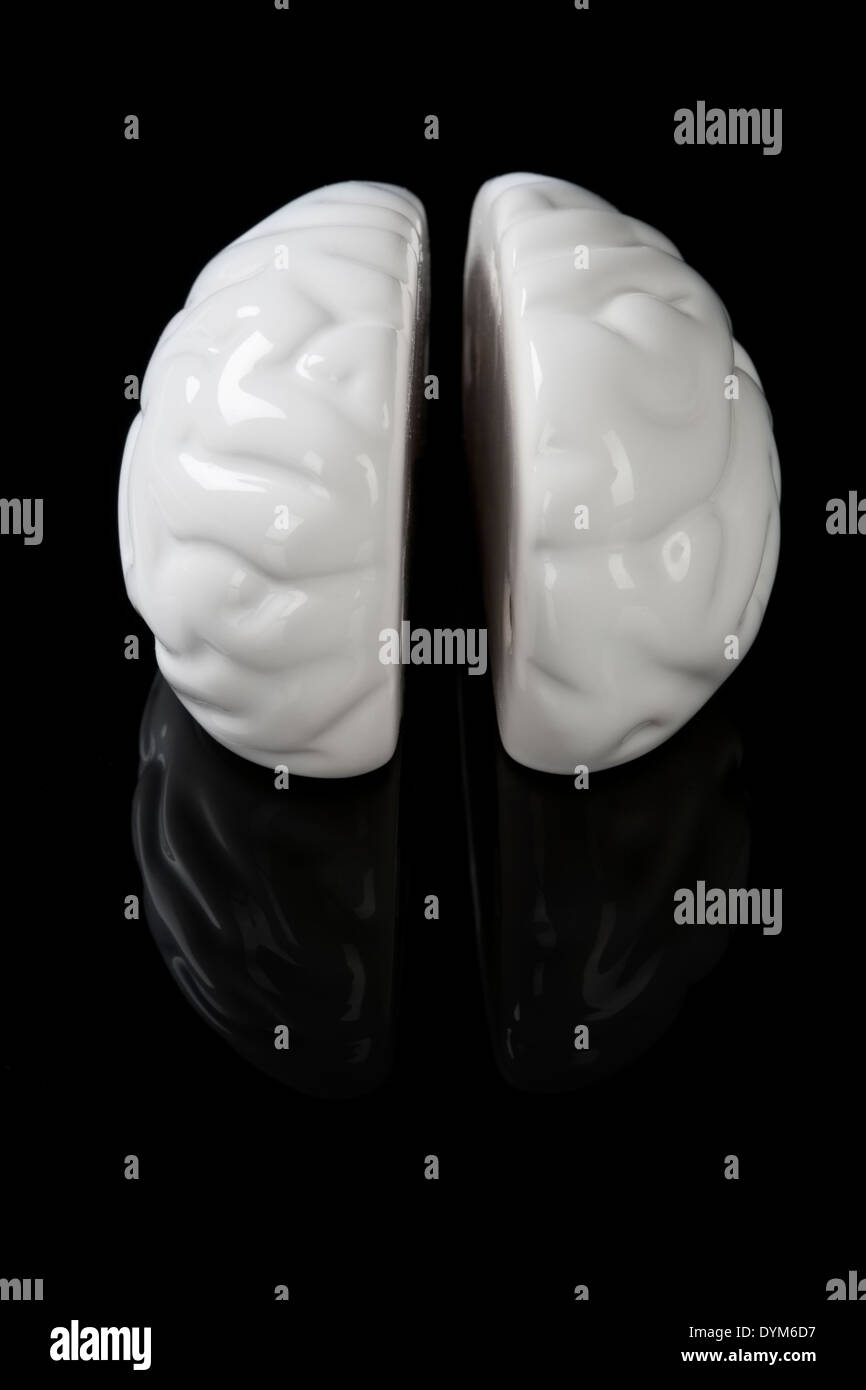 White ceramic brain isolated on black background Stock Photo - Alamy