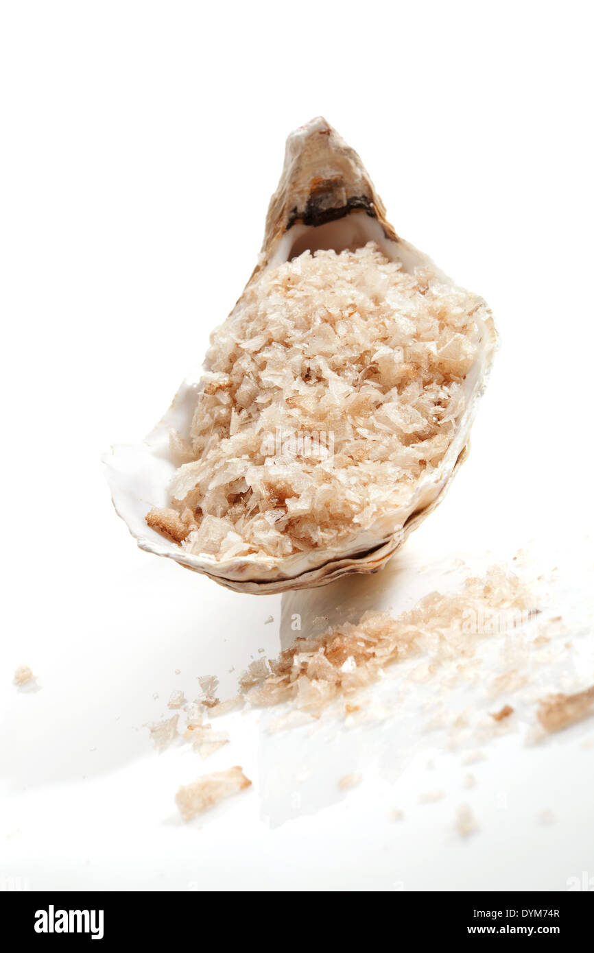 Wellness spa treatment sea salt in seashell. Luxurious zen spa concept ...