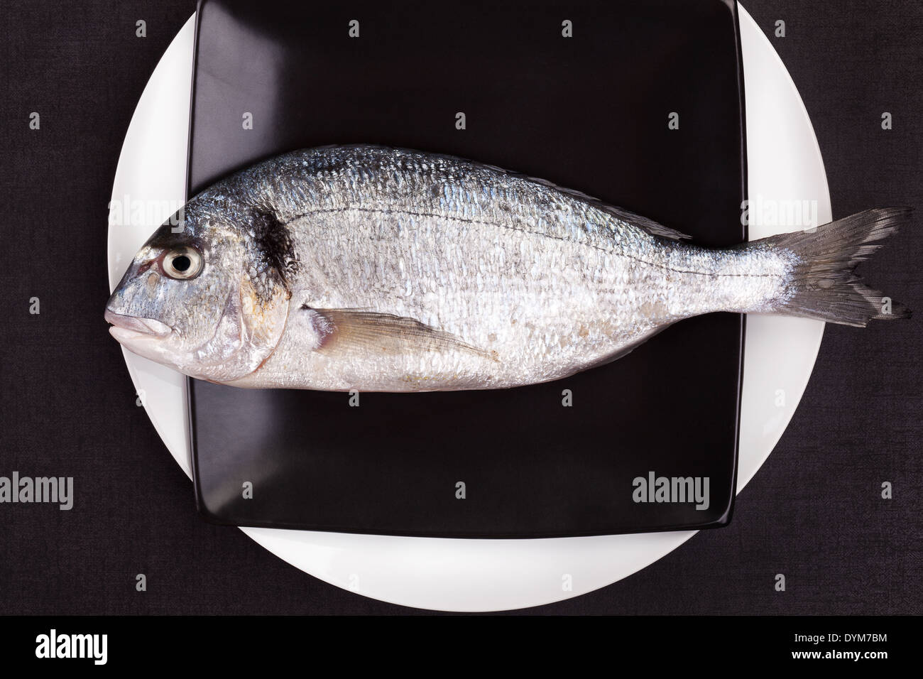 Seafood, luxurious style. Fresh fish on black square plate on white ...