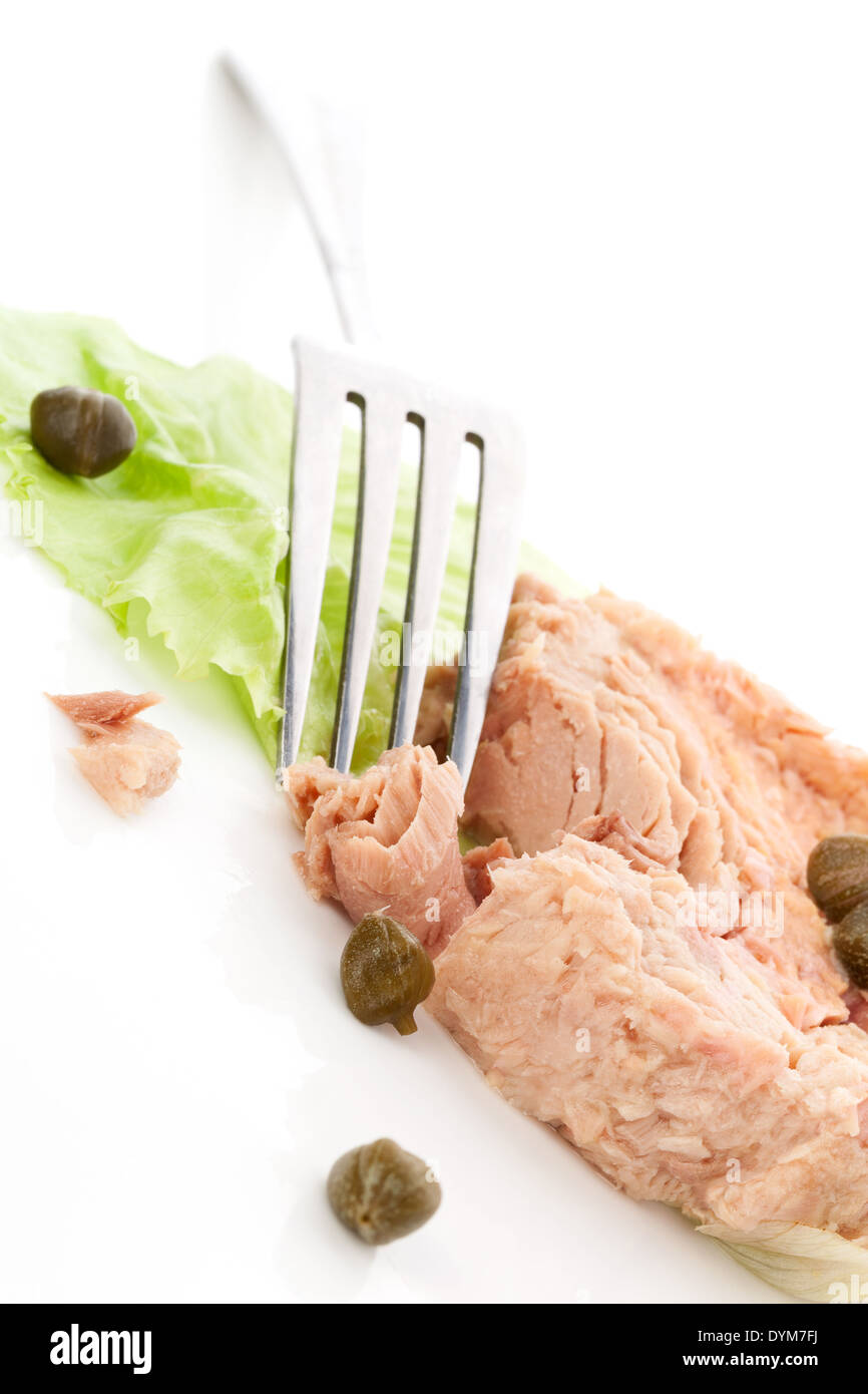 Delicious tuna on lettuce leaf with green capers. Luxurious culinary ...