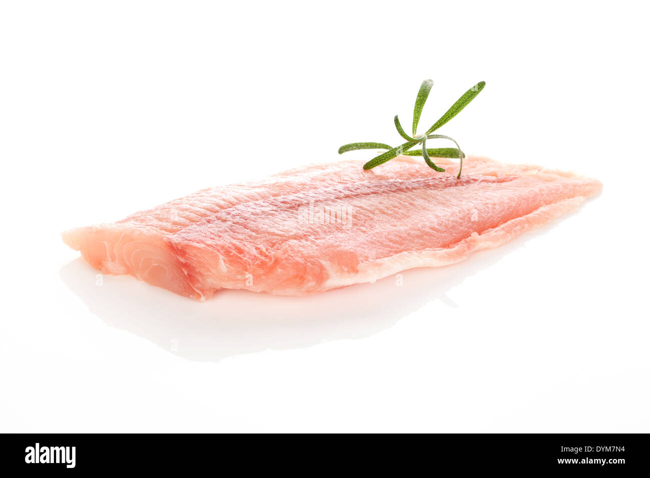 Fresh raw fish fillet with fresh herbs isolated on white background ...