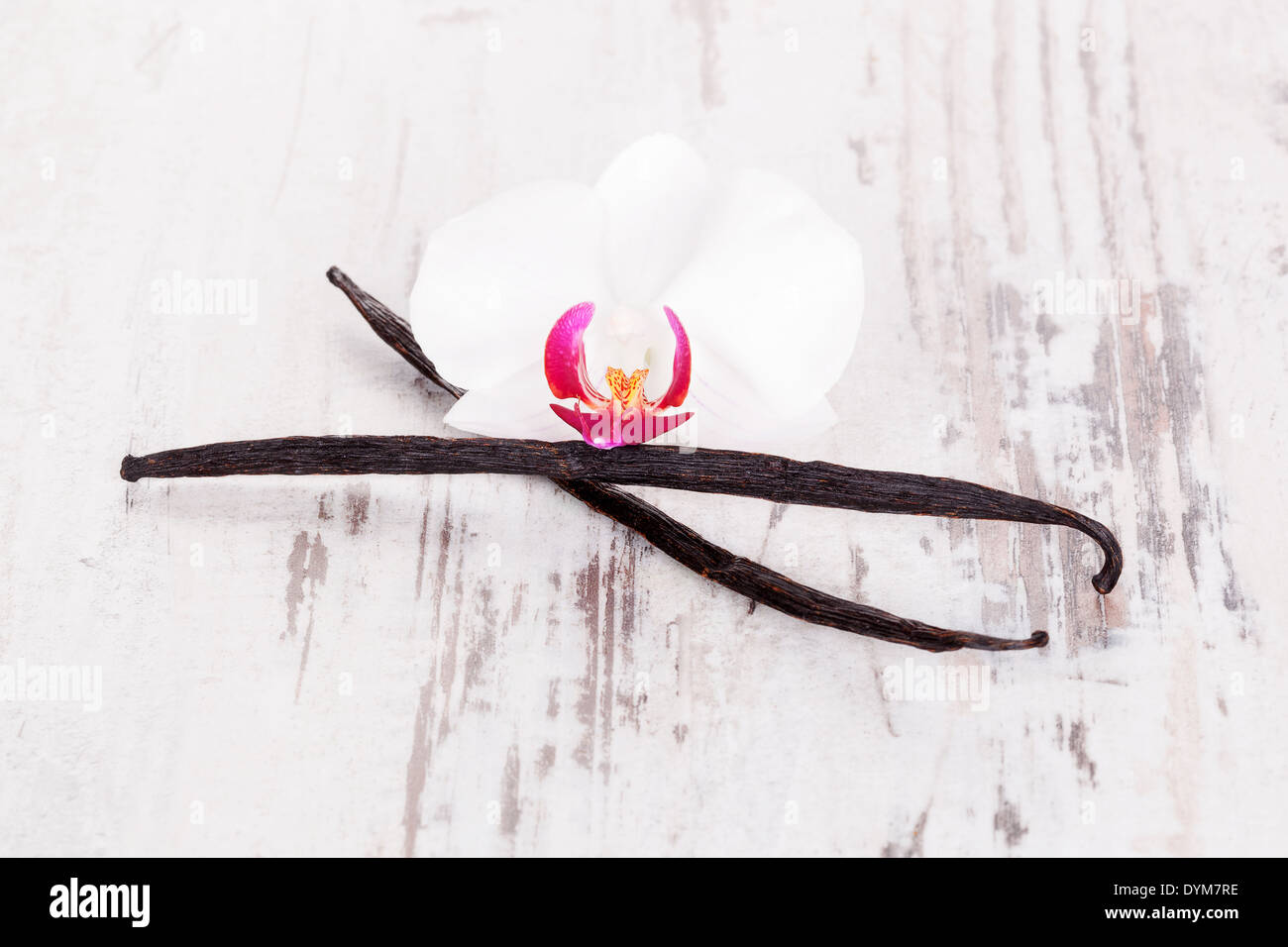 Dried vanilla fruit on white wooden textured background. Culinary ...