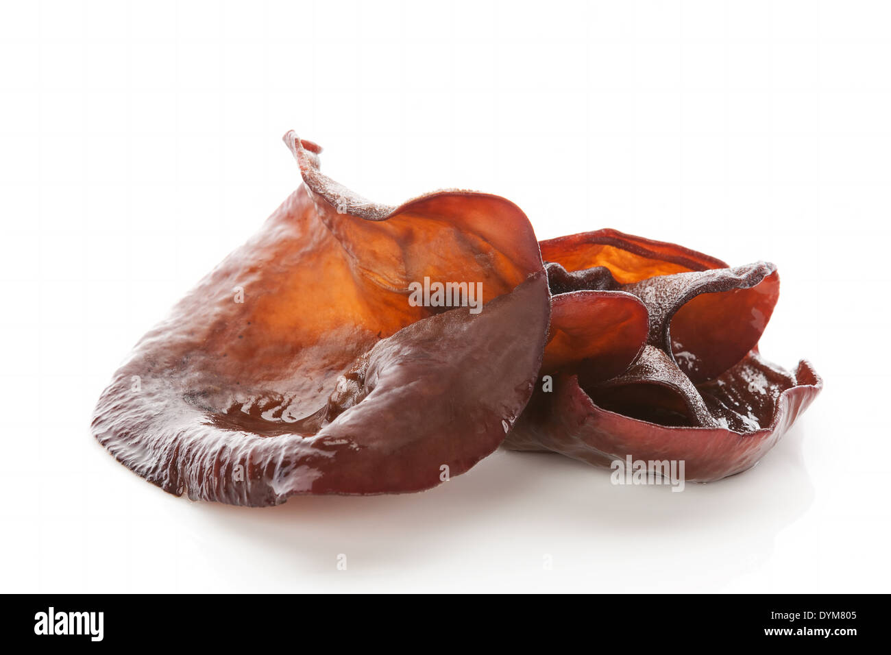 Cooked jew's ear isolated on white background. Culinary asian food ...
