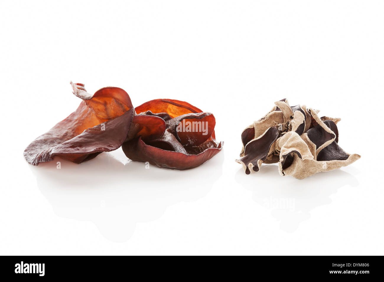 Dried and cooked jew's ear isolated on white background. Culinary asian ...