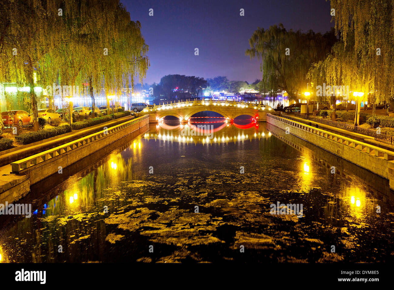 Chou Chai High Resolution Stock Photography and Images - Alamy