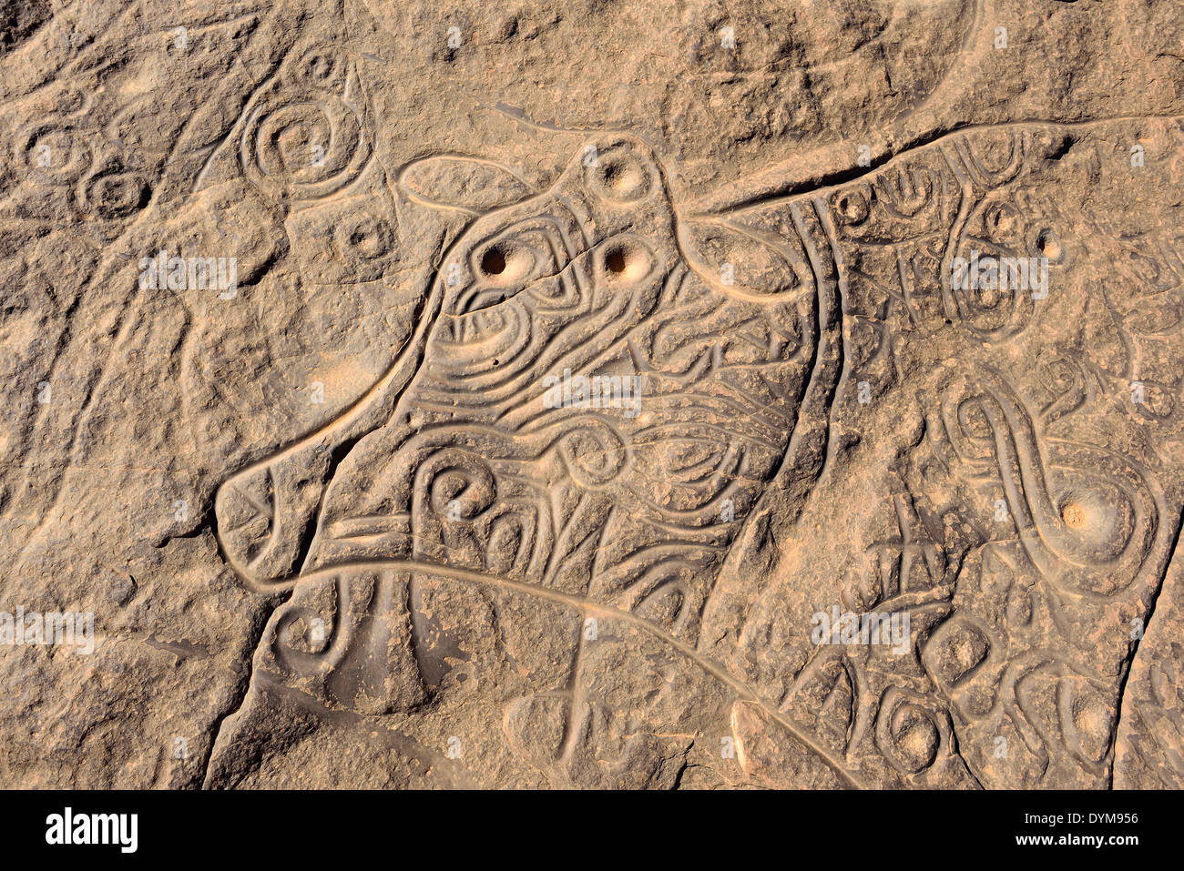 Neolithic rock art masterpiece, the famous curly cow, Bubaline or ...