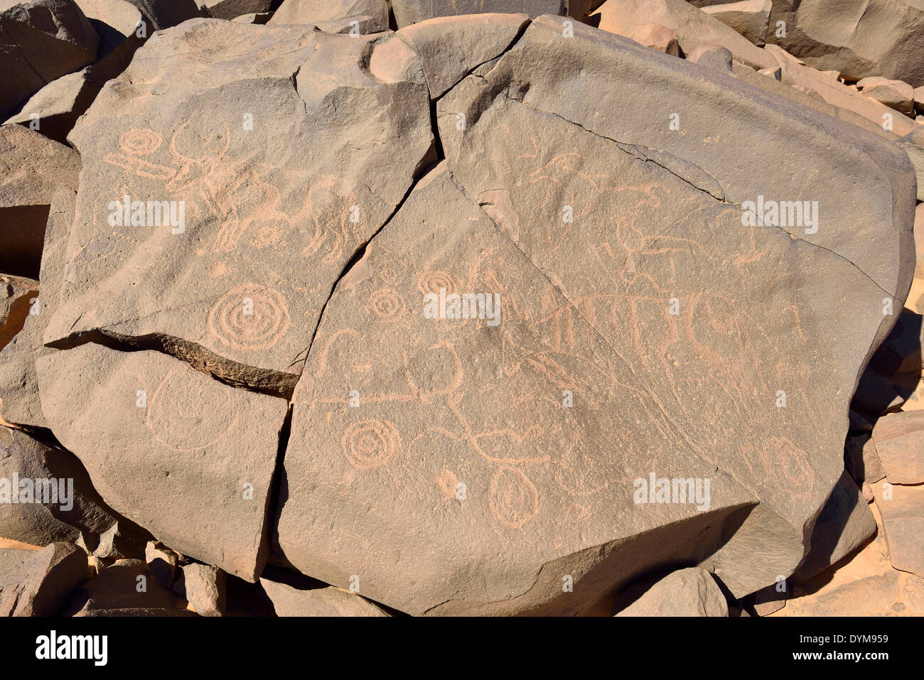 Neolithic rock art, Bubaline or Bubalus period, rock engraving of a cow ...
