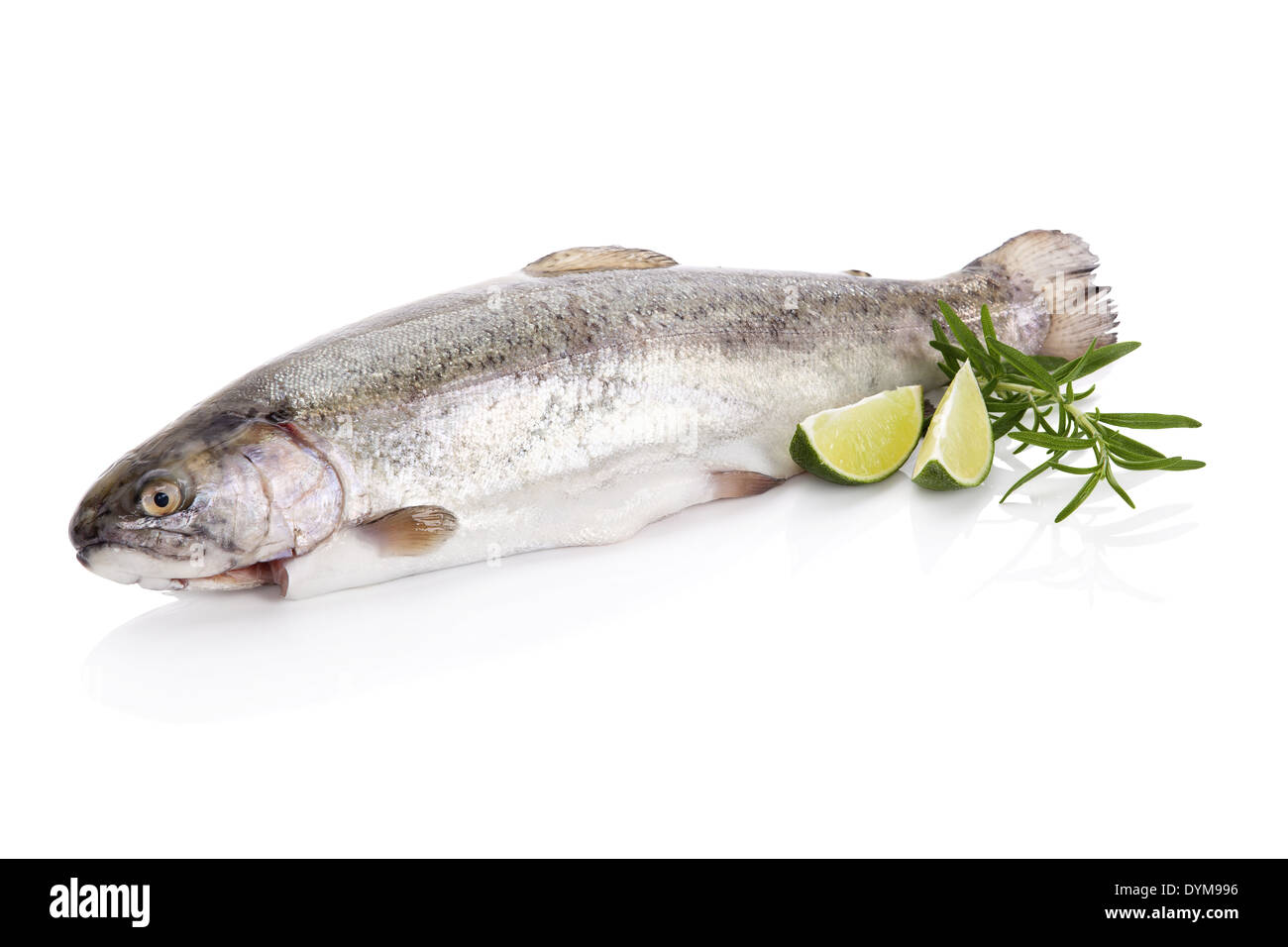 Delicious fresh raw trout isolated on white background with fresh ...