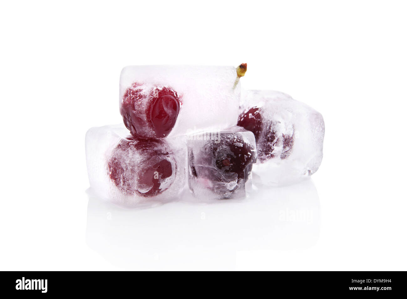 Ripe fresh cherries frozen in ice cubes isolated on white background ...