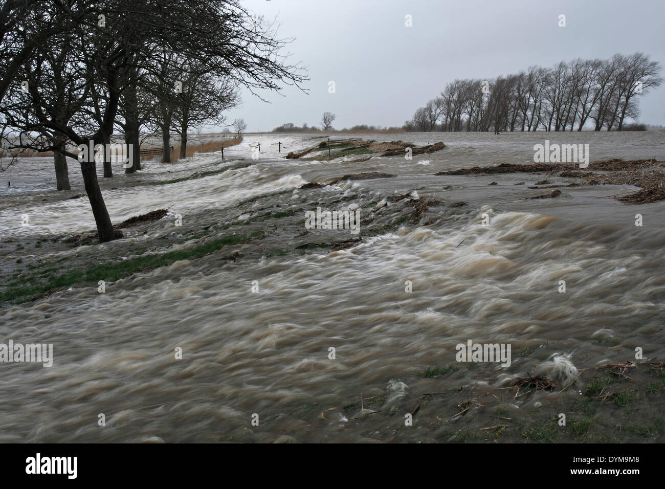 Storm surge on the lower Weser River, water overflowing a dyke ...