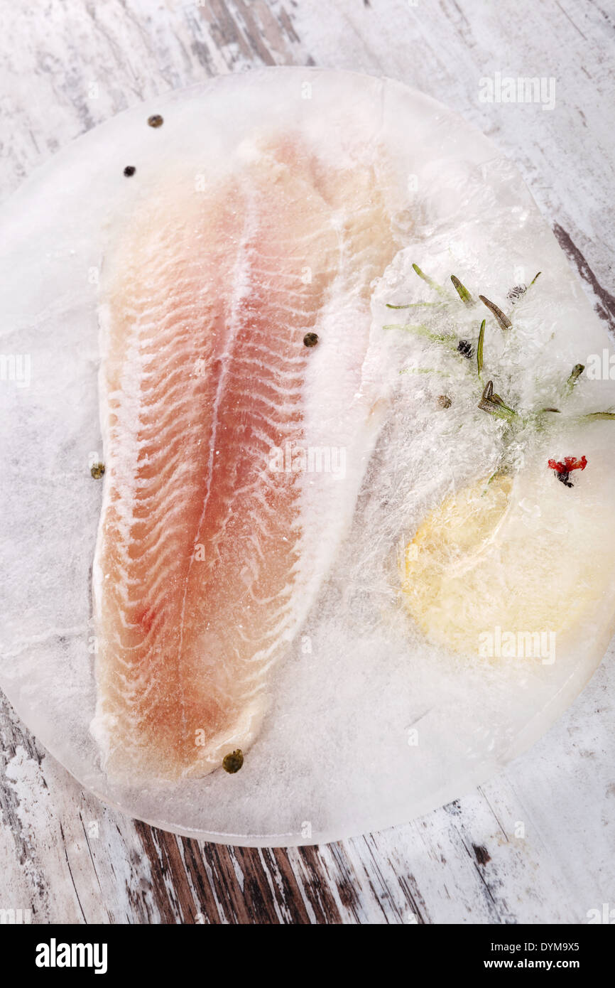 Raw fish fillet frozen in ice with fresh herbs and peppercorn on white ...