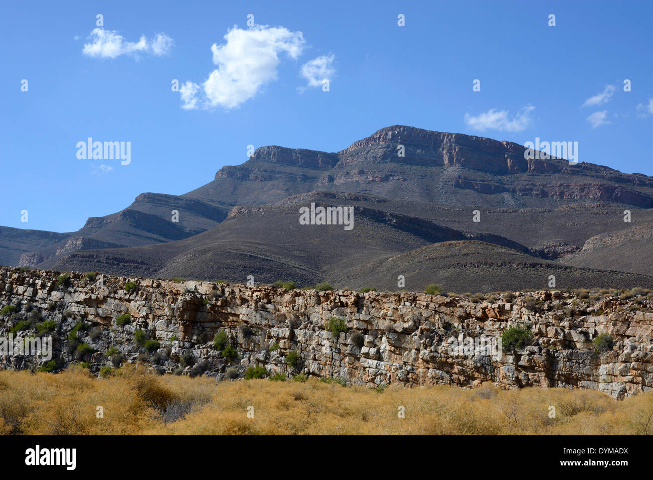 In the Cederberg mountains, Western Cape, South Africa Stock Photo - Alamy