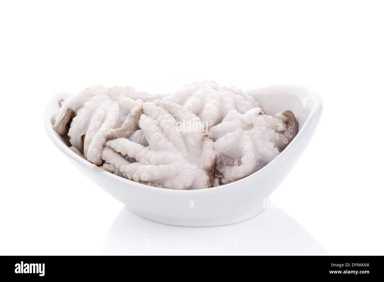 Raw octopus in white round bowl isolated on white background. Culinary ...