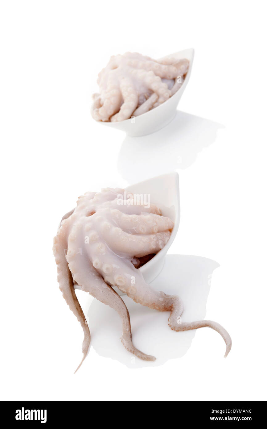 Culinary seafood eating. Raw octopus isolated on white background Stock ...