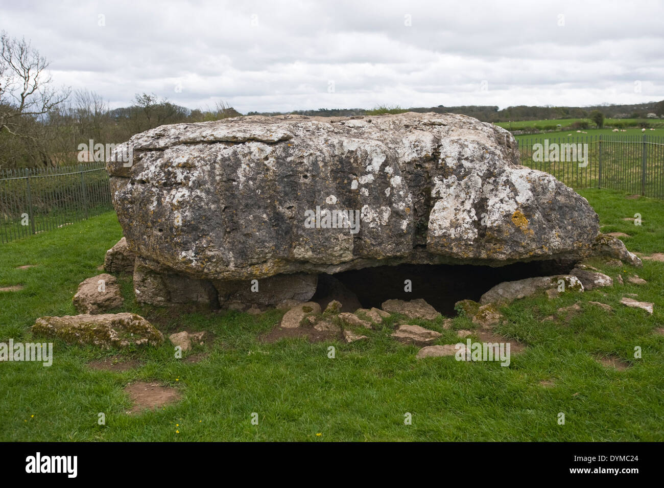 Neolithic burial chamber at Lligwy near Moelfre on Anglesey North Wales ...