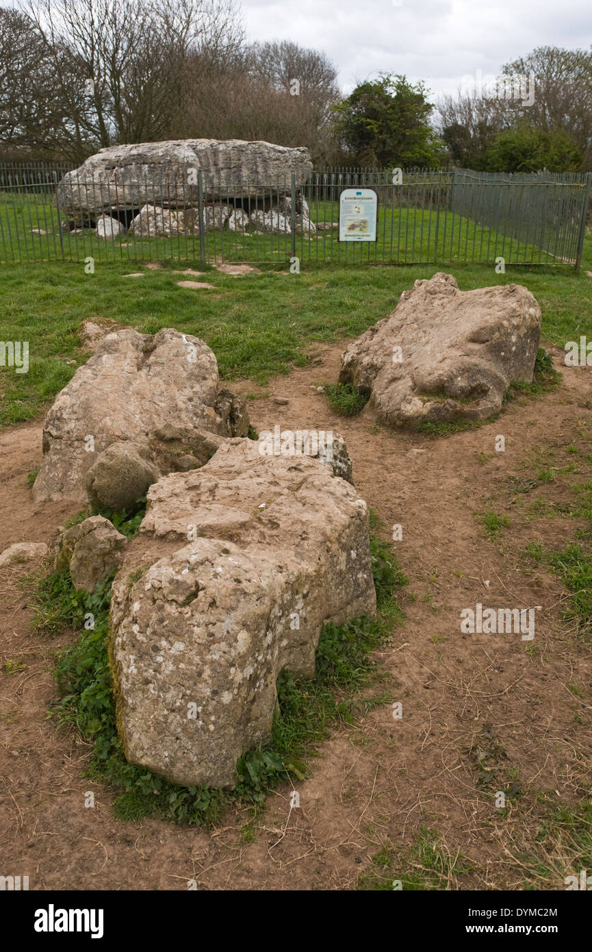 Neolithic burial chamber at Lligwy near Moelfre on Anglesey North Wales ...