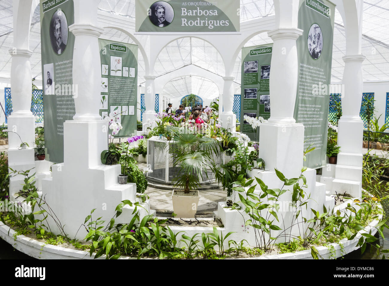 Rio de Janeiro, botanical garden, Jardim Botanico, Orchideario, Orchid ...