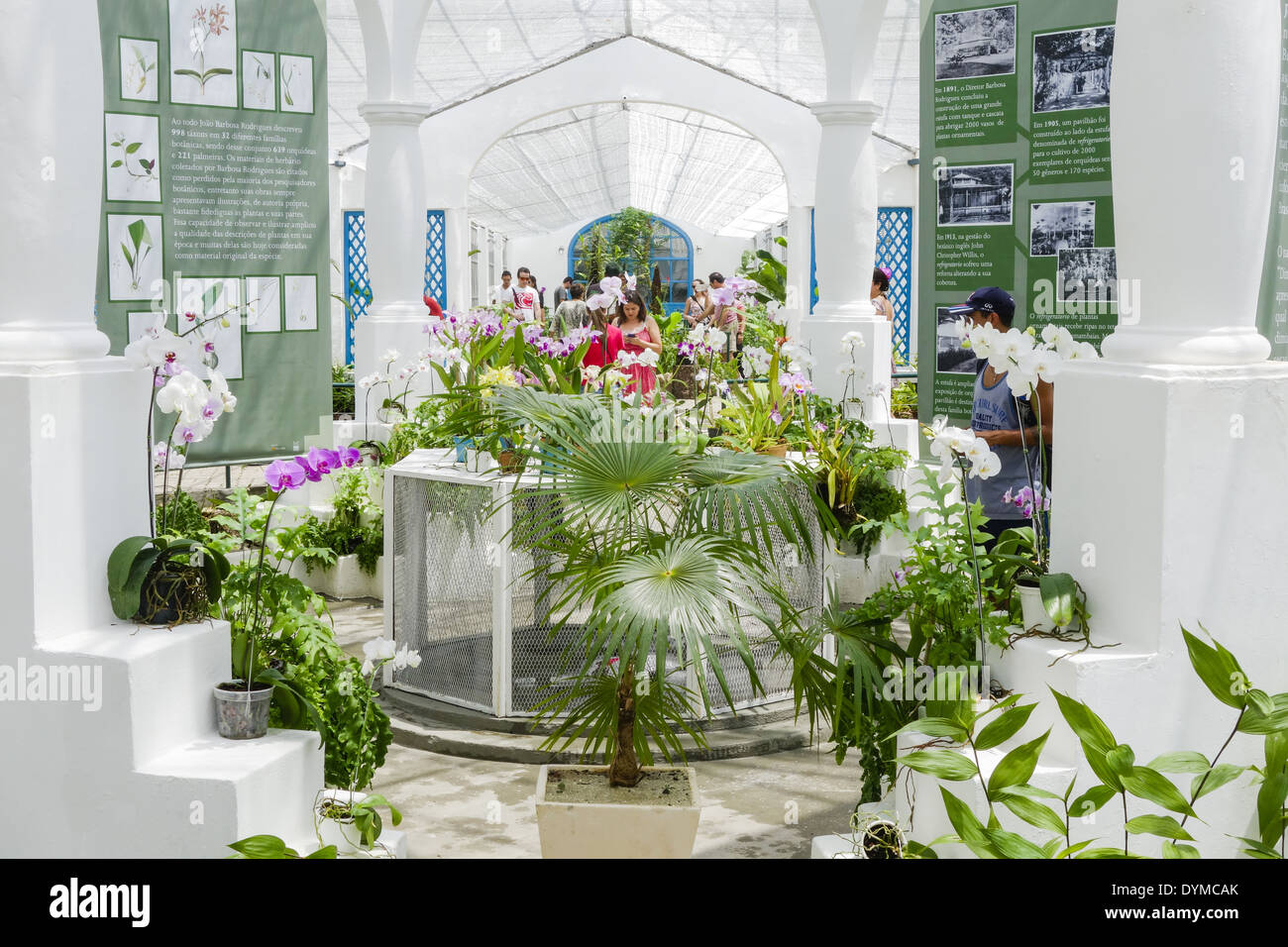 Rio de Janeiro, botanical garden, Jardim Botanico, Orchideario, Orchid ...