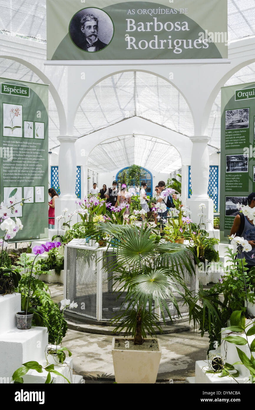 Rio de Janeiro, botanical garden, Jardim Botanico, Orchideario, Orchid ...