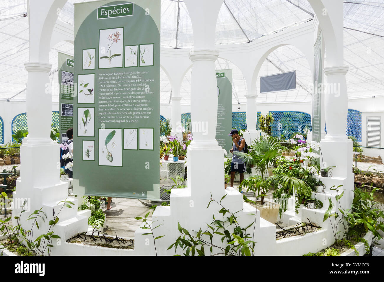 Rio de Janeiro, botanical garden, Jardim Botanico, Orchideario, Orchid ...