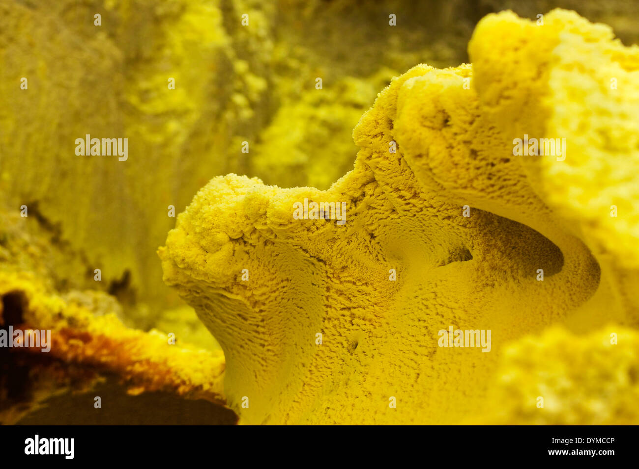 Java w hi-res stock photography and images - Alamy