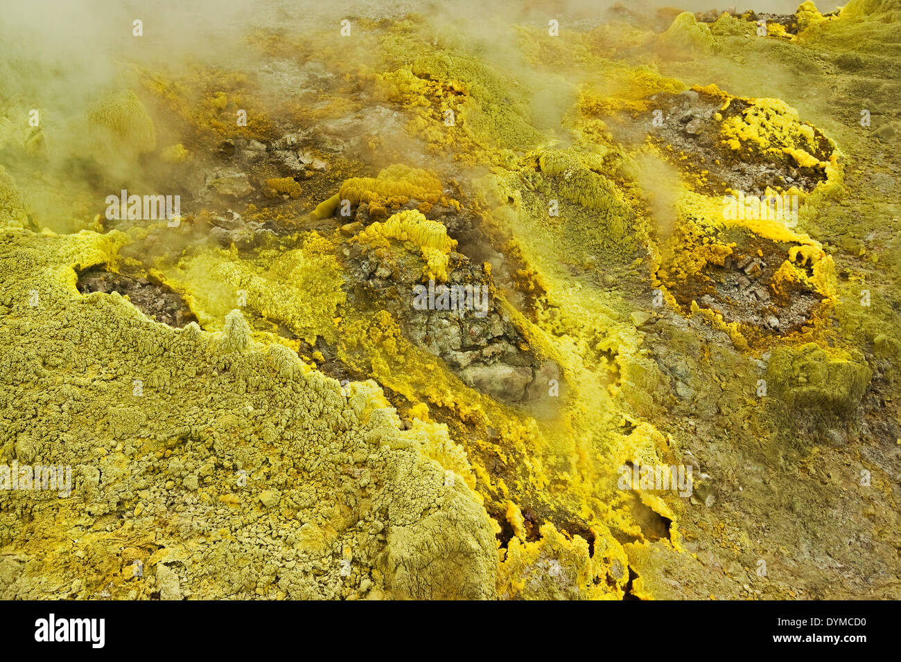 Sulphur encrusted fumaroles at Papandayan Volcano, an active 4 crater ... Sulphur encrusted fumaroles at Papandayan Volcano, an active 4 crater ...