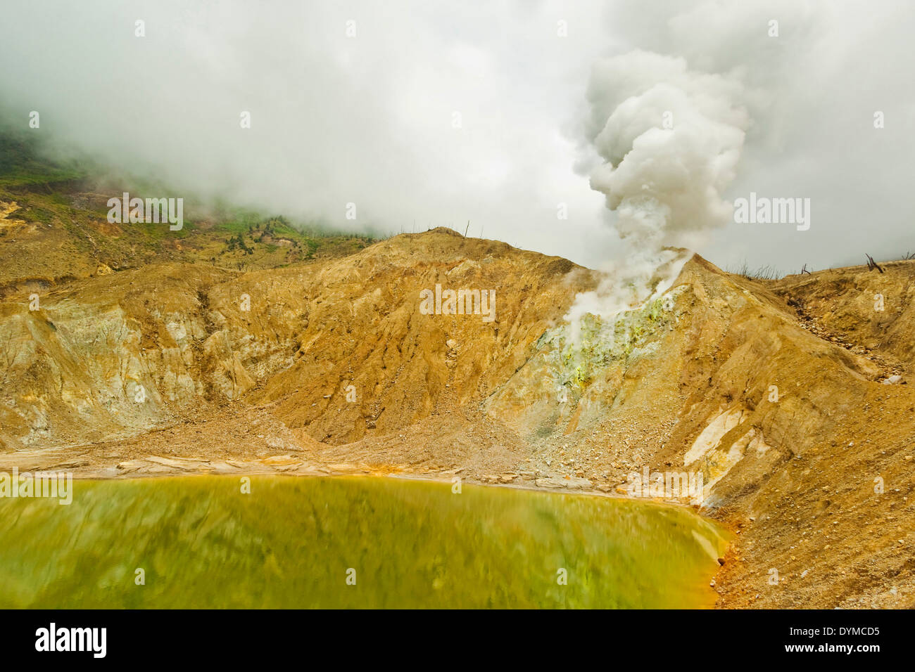 Green crater lake & steaming fumaroles at Papandayan Volcano, an active ...