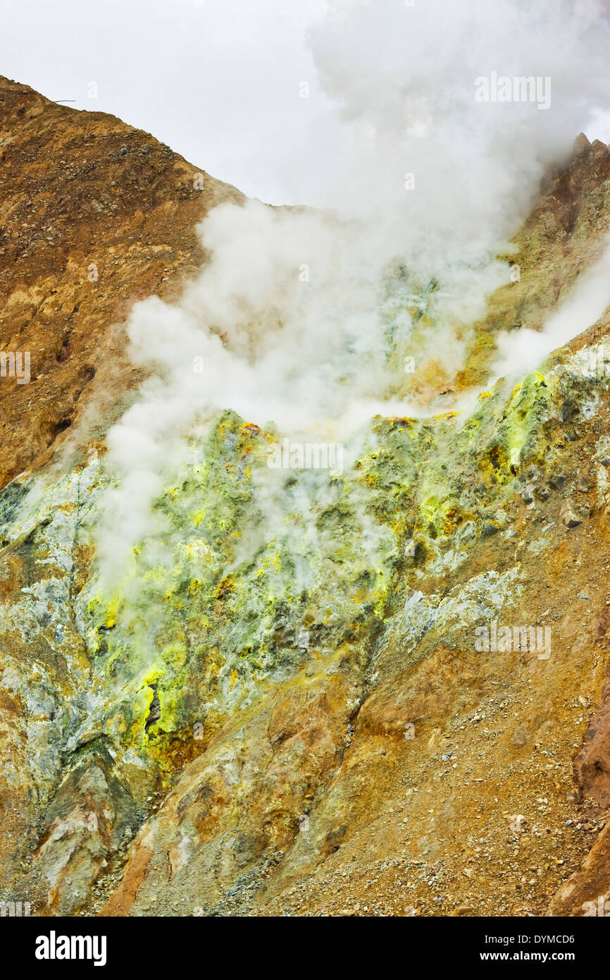 Sulphur encrusted fumaroles at Papandayan Volcano, an active 4 crater ... Sulphur encrusted fumaroles at Papandayan Volcano, an active 4 crater ...