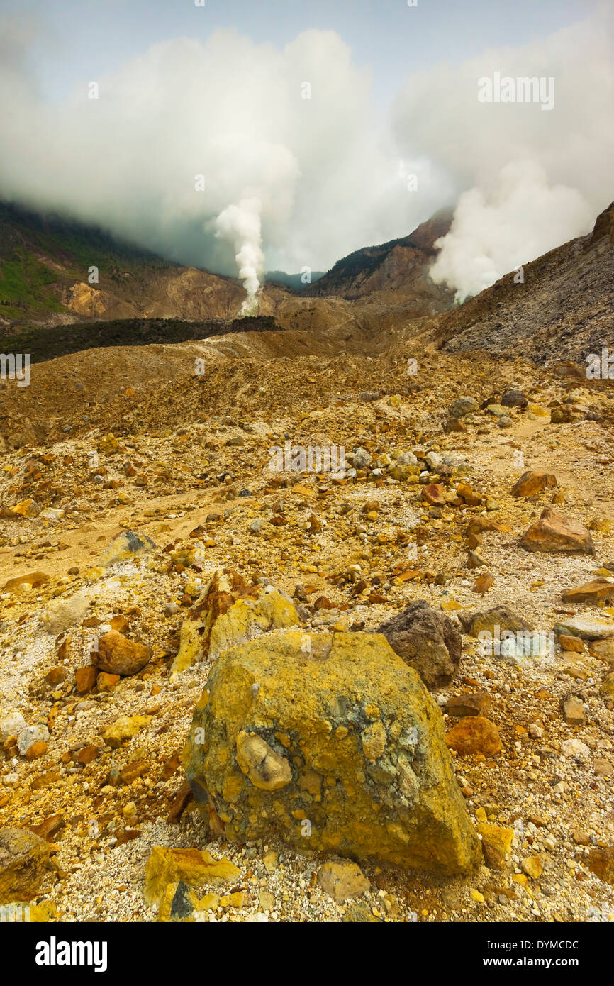 Sulphur & steaming fumaroles in the Alun-Alun Crater at Papandayan ... Sulphur & steaming fumaroles in the Alun-Alun Crater at Papandayan ...