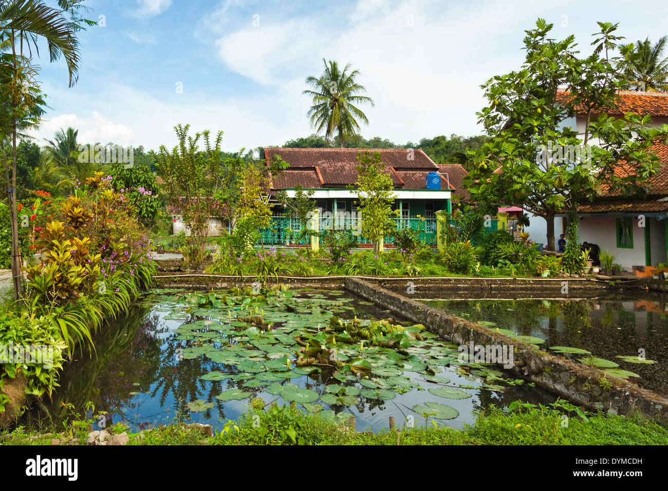 Rural indonesia village hi-res stock photography and images - Alamy